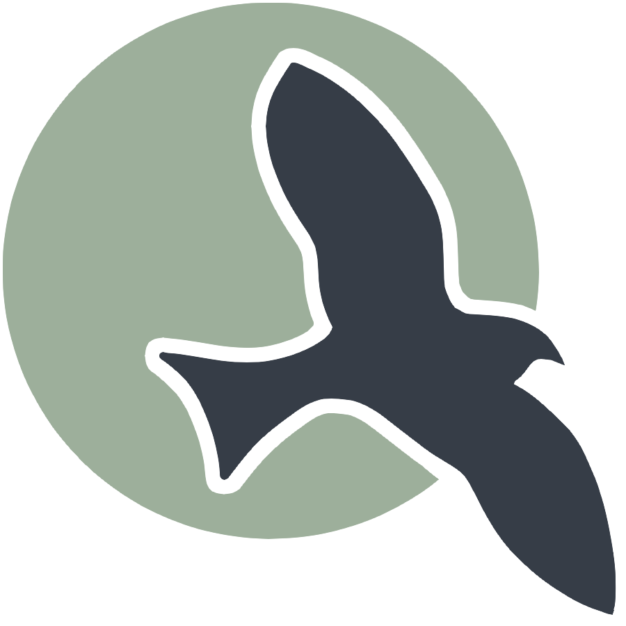 Web Programming Basics | Nighthawk-Pages